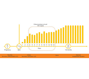 Montée en volume
