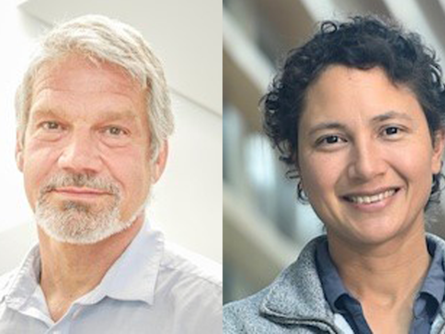 Professional Education - Medela University