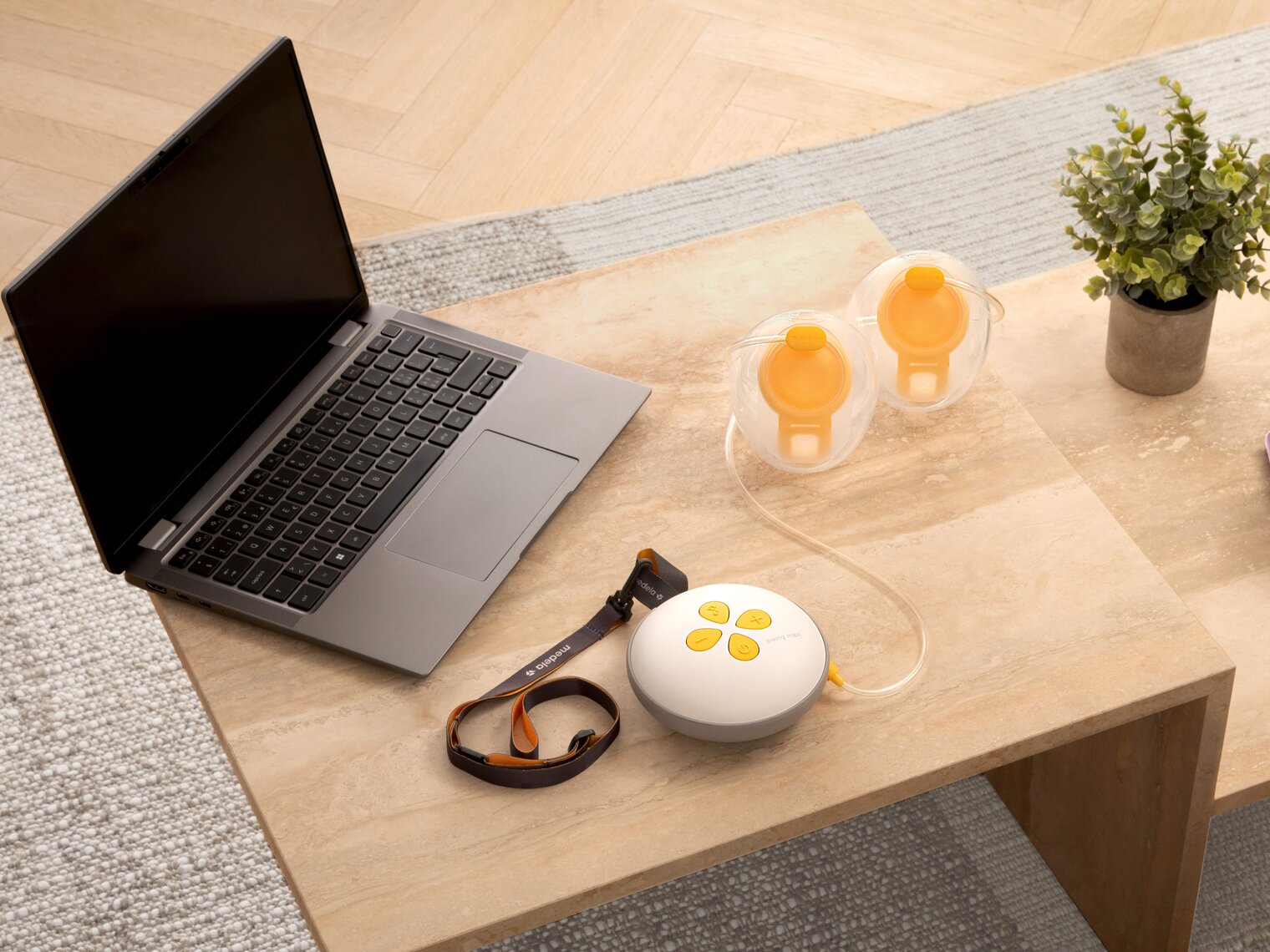 Calesca Warming and Thawing Device | Medela