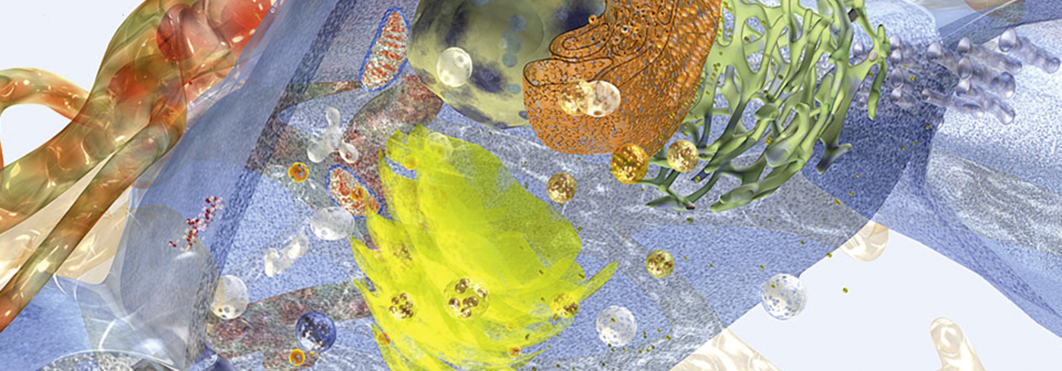 Medications and breastfeeding